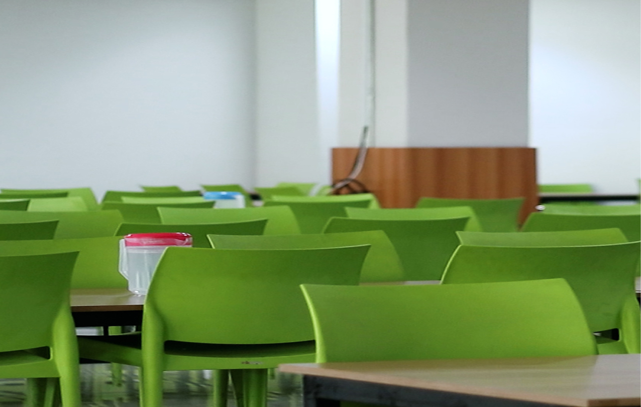 Sugity Creatives | Company Plant